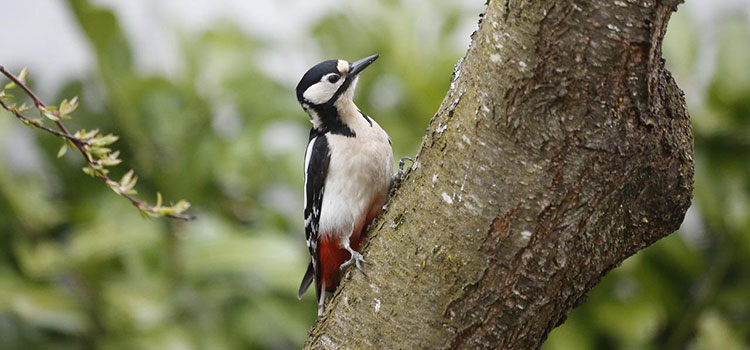 Zoloft Asentra Serlift Sertagen Sertadepi Stimuloton 50mg 100mg Eger ...